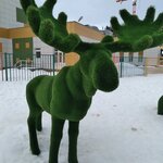 Playground (Tver, Brusilovo Subdistrict), oyun alanı  Tver'den