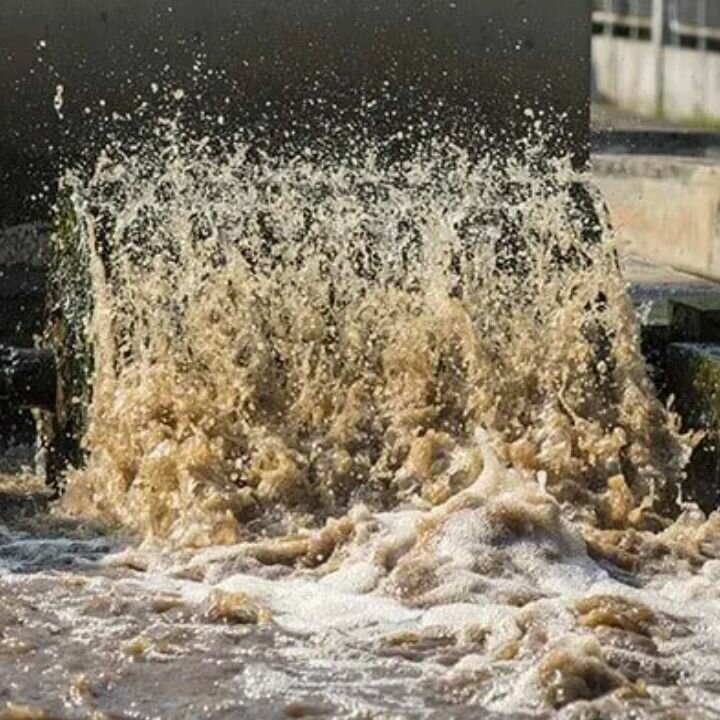 Çevre dernekleri Ingesam M&l SAS, Cali, foto