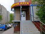 Пенная кега (Bratev Kashirinykh Street No:97), bira dükkanı  Çeliabinsk'ten