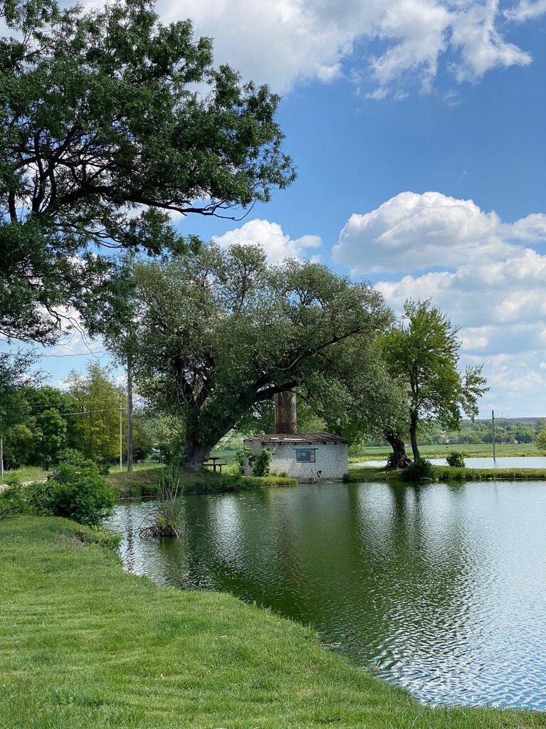 Balık çiftçiliği ve toptancıları Пять озёр, Stavropolski krayı, foto