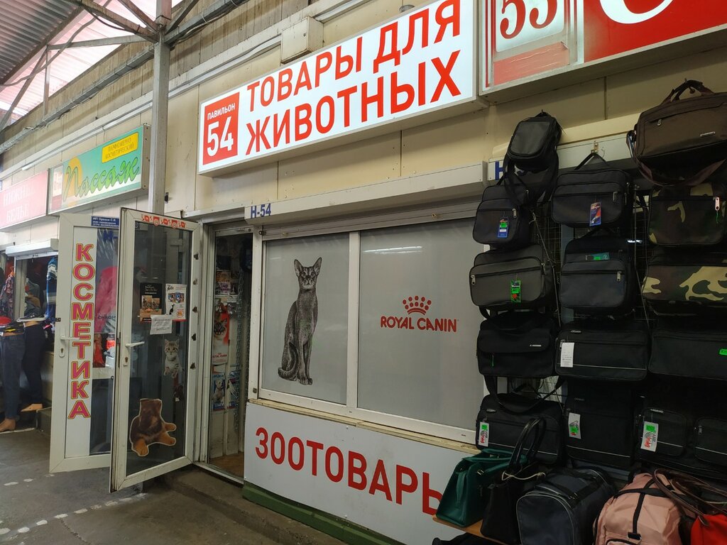 Petshop Diskus, Kaliningrad, foto