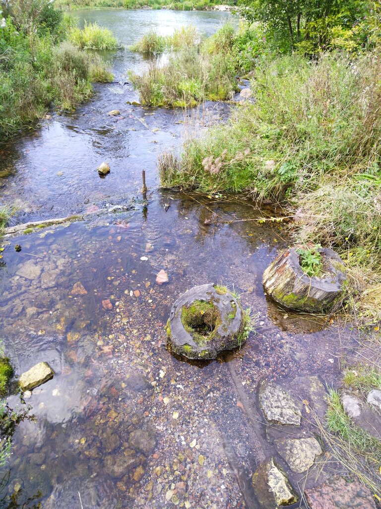 Pınar, çay Spring, stream, Saint‑Petersburg ve Leningradskaya oblastı, foto