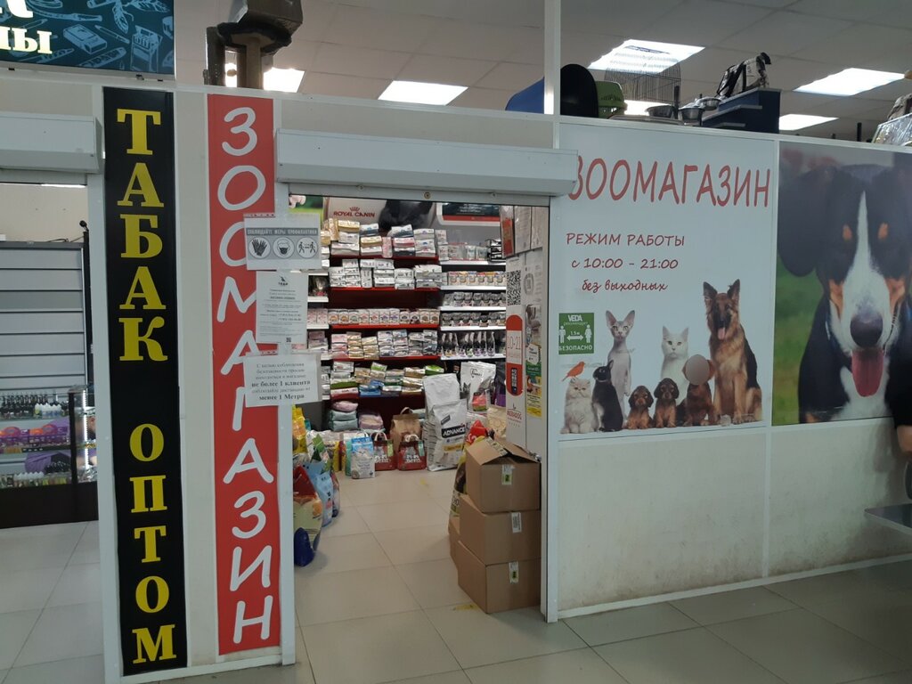 Petshop Зоомаркет Тоди, Saint‑Petersburg, foto