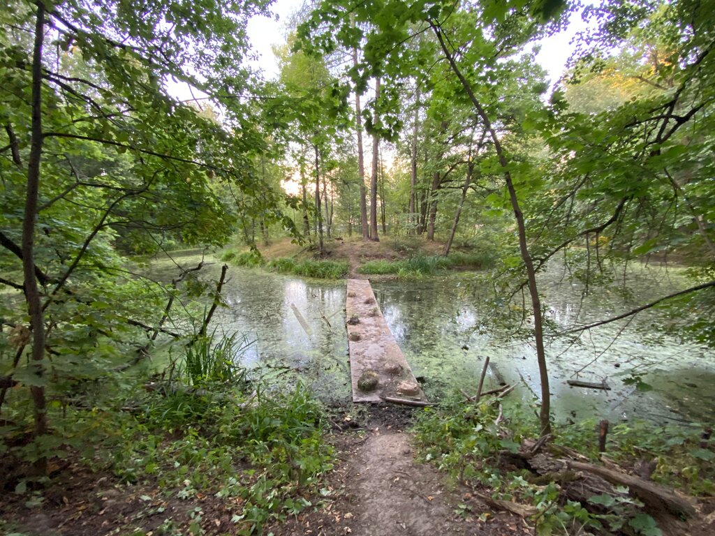 Turistik yerler Белый домик, Moskova ve Moskovskaya oblastı, foto