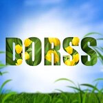Dorss (ulitsa Shchepkina No:4Б), spor beslenme  Kursk'tan