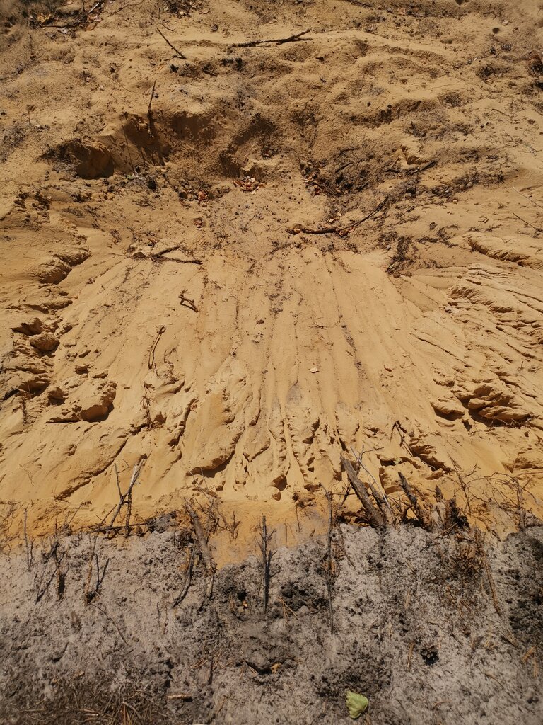 Plaj Пляж, Nijegorodskaya oblastı, foto