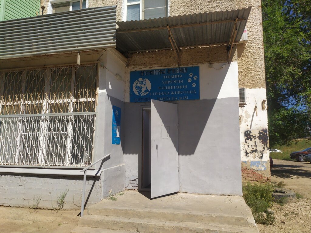 Veteriner klinikleri Добрыня, Astrahan, foto