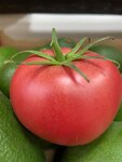 Фрукты овощи (Moscow, Troitsk District, Charoitovaya Street, 1к6), market  Moskova'dan
