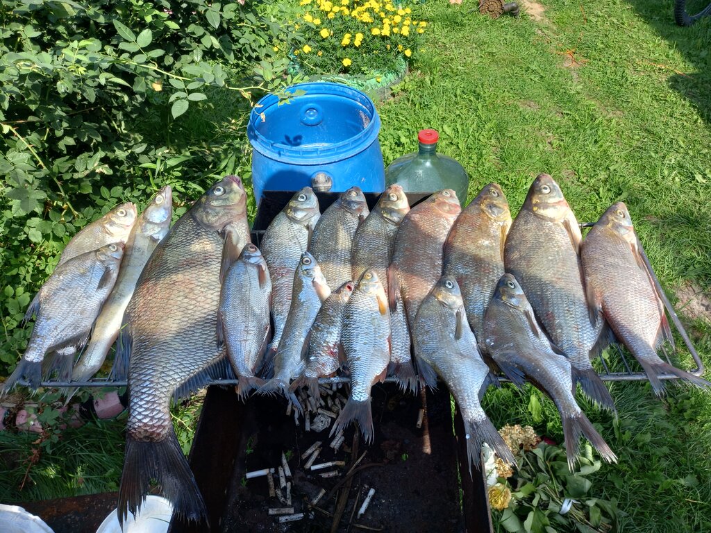 Mini-market Смешанные товары, Riazanskaya oblastı, foto