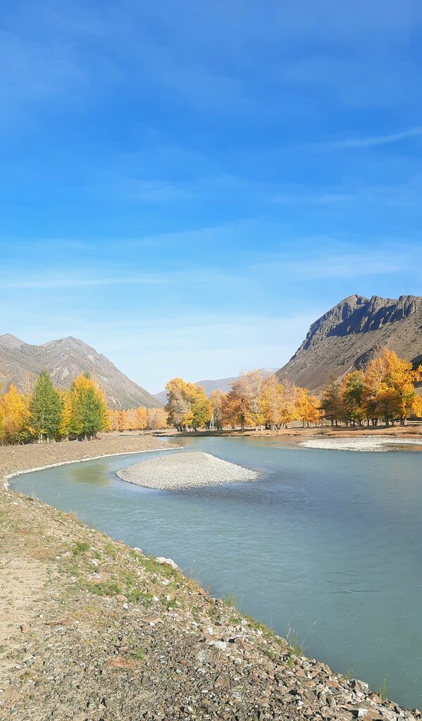 Tatil köyleri Sinegorie, Altay Cumhuriyeti, foto