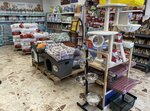 Zoo Life (Via Etnea No:52, Mascalucia), petshop  Katanya'dan