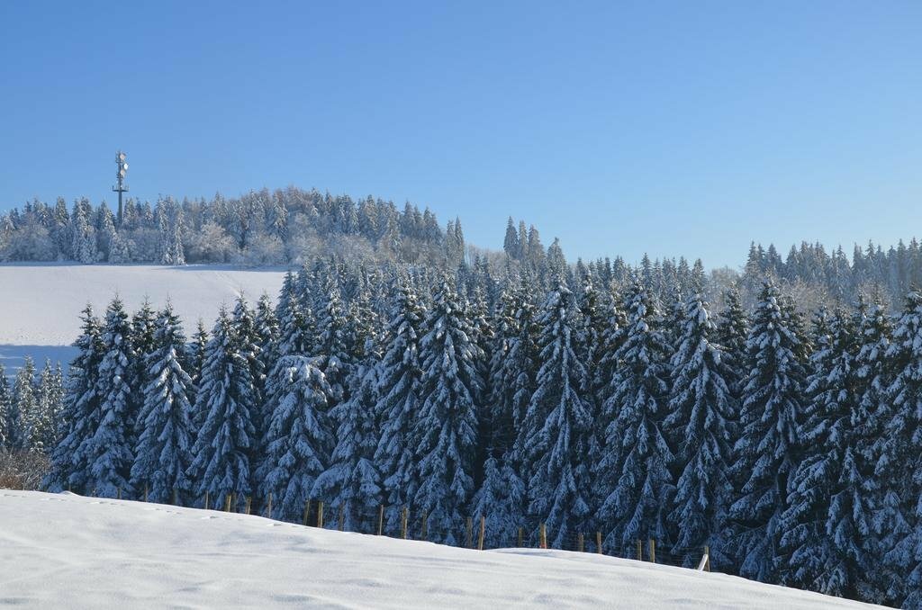 Otel Berggasthof zur Glocke, Kuzey Ren‑Vestfalya, foto