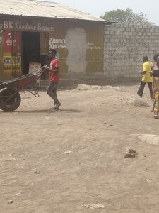 Bk Fikodane Business (Lusaka, John Laing), berberler  Lusaka'dan