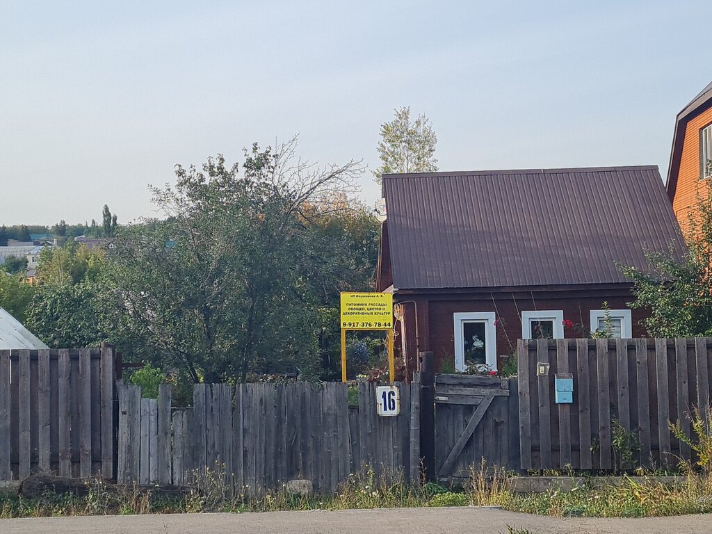 Tohum satan yerler Питомник рассады, Başkurdistan, foto