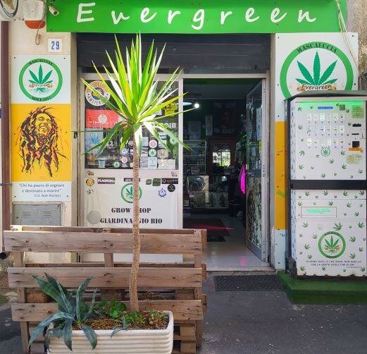 Tarım makineleri, ekipmanlar Evergreen Grow Shop, Sicilya, foto