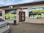 Восход (Traktovaya ulitsa No:50), market  Çita'dan