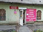 Semena (Irkutskiy Tract No:134), tohum satan yerler  Tomsk'tan