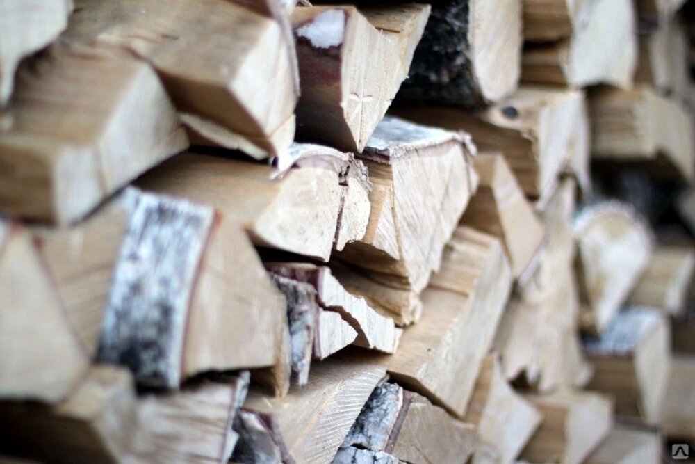 Orman işleri Safakulevsky leskhoz, Kurganskaya oblastı, foto