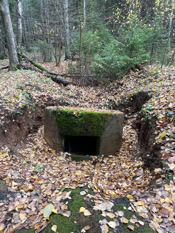 Turistik yerler Железобетонная пулемётная огневая точка, Moskova ve Moskovskaya oblastı, foto
