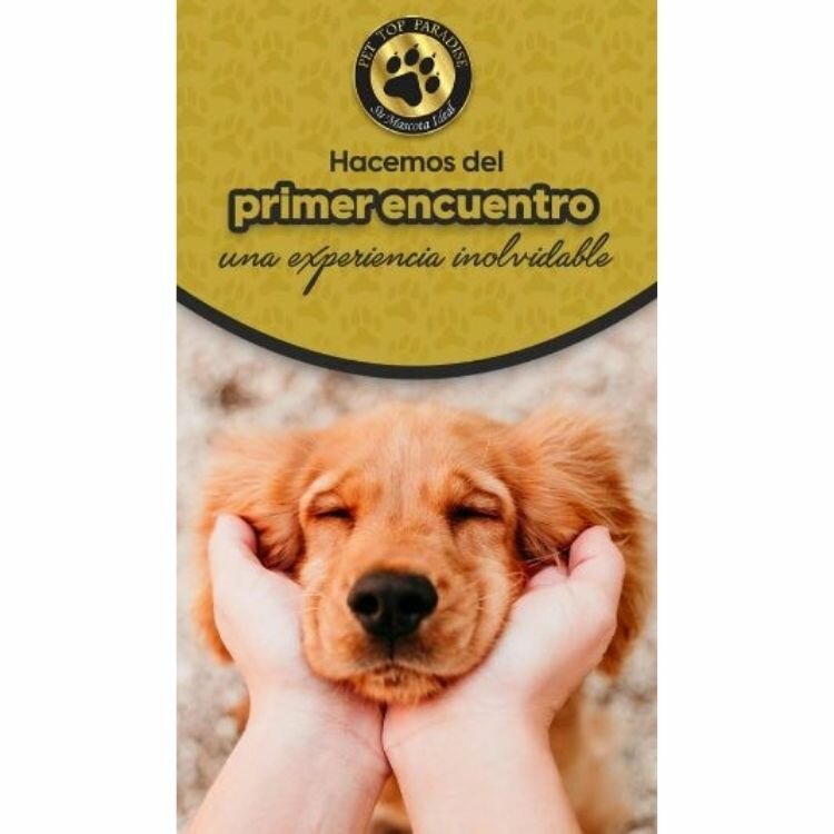 Evcil hayvan yetiştiricileri Pet Top Paradise, Bogota, foto