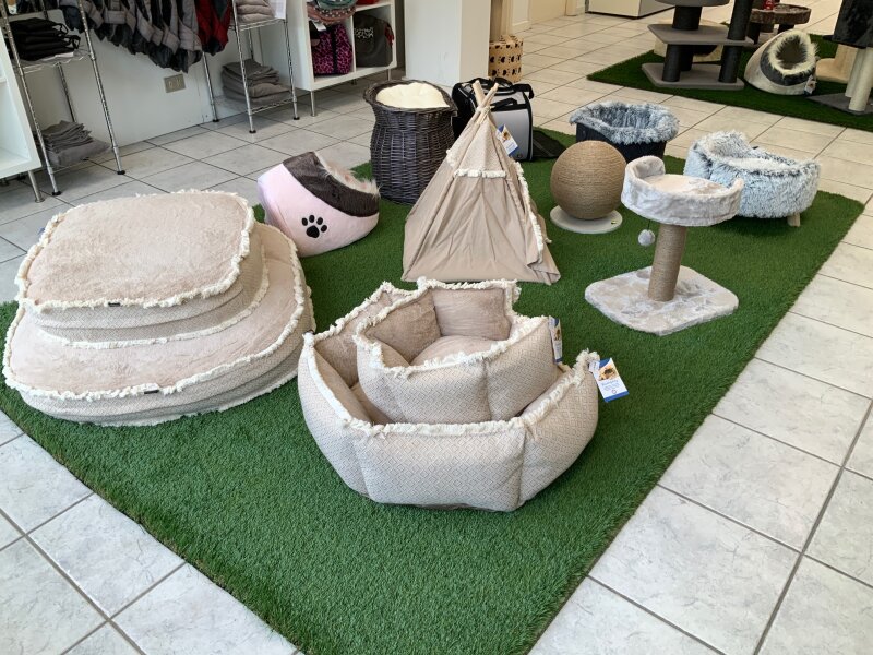 Hayvancılık Animal & Garden di Corbara Raffaele, , foto