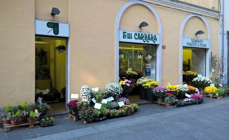 Çiçek teslimatı Fratelli Carrara, Pavia, foto