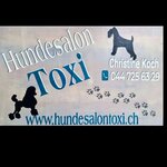 Hundesalon Toxi Horgen (Tödistrasse No:51, Horgen), evcil hayvan kuaförleri  Zürih'ten