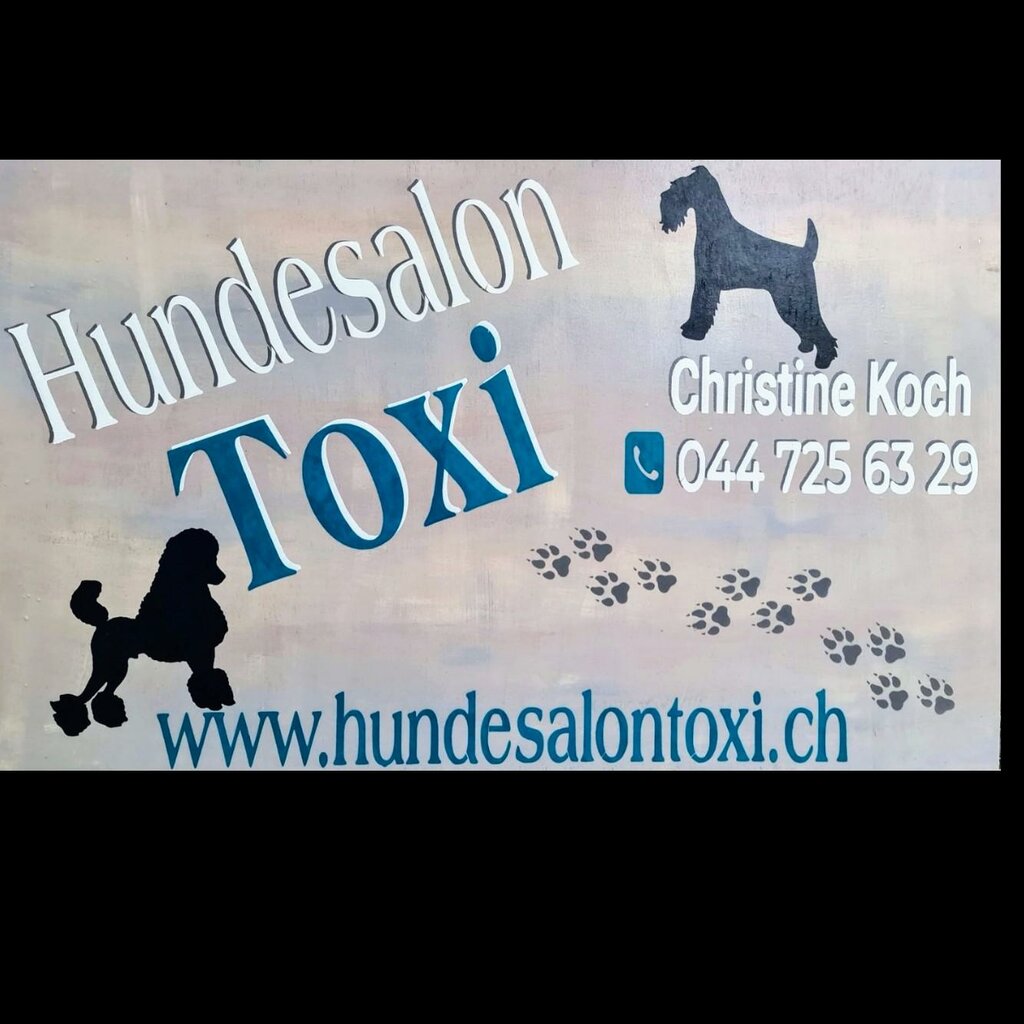Evcil hayvan kuaförleri Hundesalon Toxi Horgen, Zürih, foto