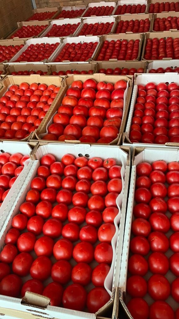 Manavlar Овощной магазин № 1, Stavropolski krayı, foto