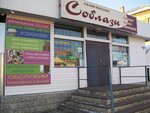 Фотоателье (Pervomayskaya ulitsa No:16, rabochiy posyolok Rzhaksa), fotoğraf hizmetleri  Tambovskaya oblastından