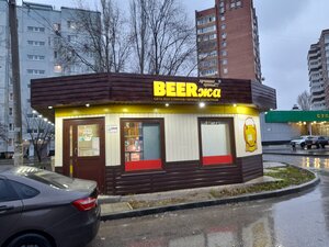 Beerжа (Mira Street No:101Е), bira dükkanı  Tolyatti'den (Togliatti'den)