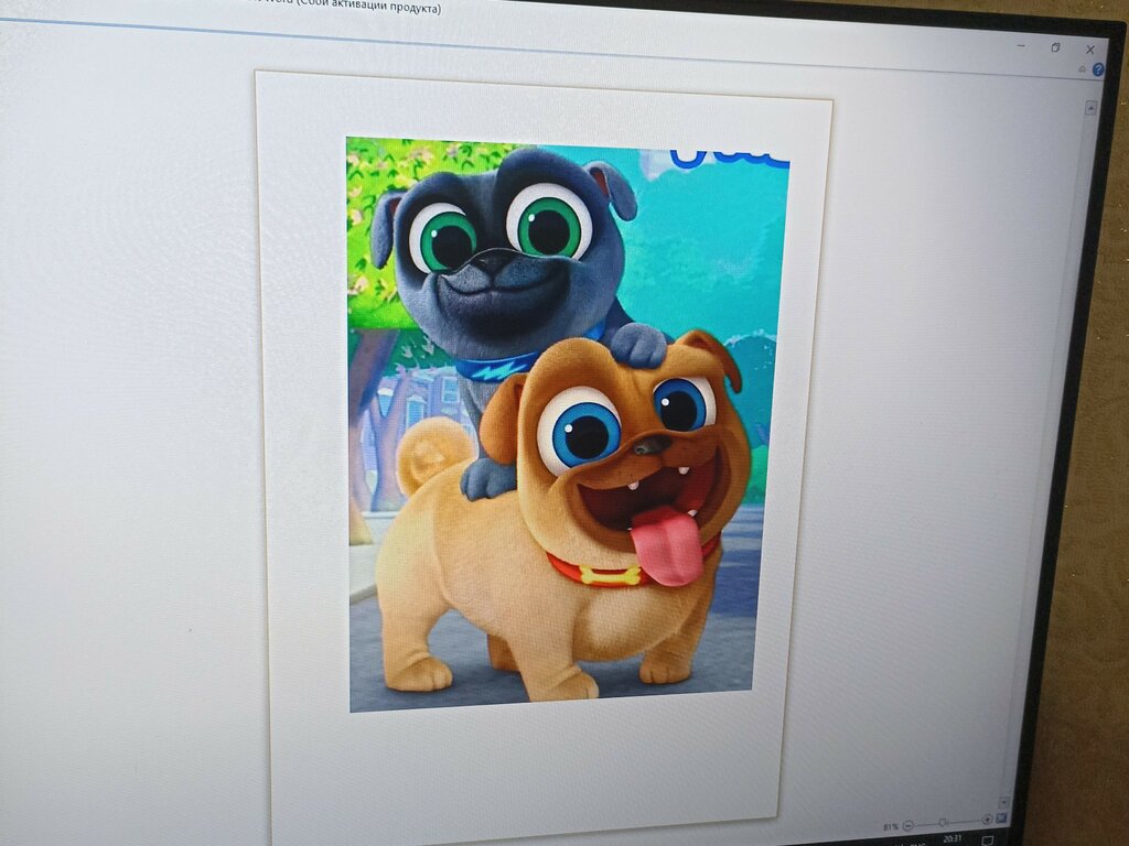 Pasta, şekerleme ve tatlı Пищевая печать, Yekaterinburg, foto