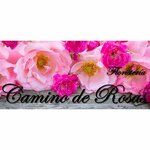 Floristería Camino De Rosas (Calle Mayorazgo No:15, Getafe, Leganés), çiçek teslimatı  Madrid'den