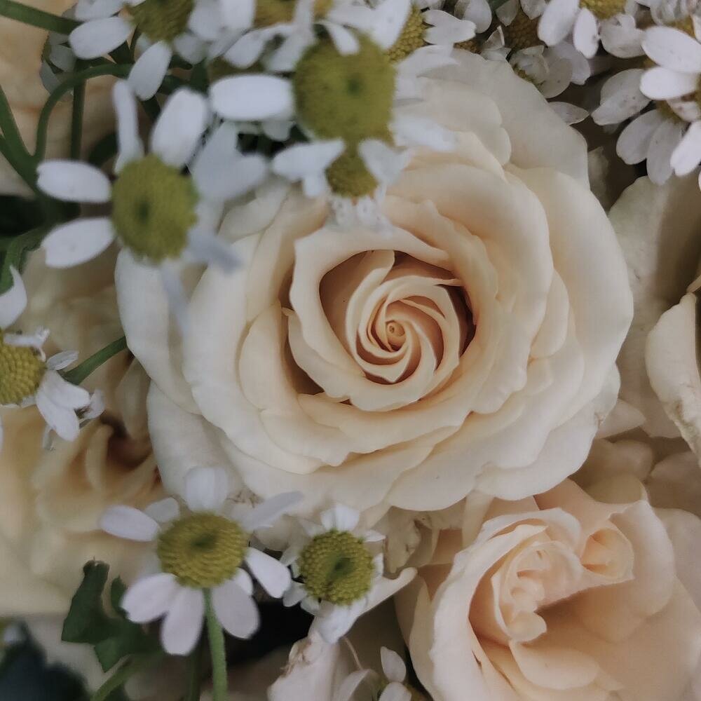 Çiçekçiler Цветы, Saint‑Petersburg, foto