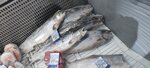 Океан (Chelyabinsk Region, Korkino, ulitsa 30 let VLKSM), balık ve deniz ürünleri  Korkino'dan