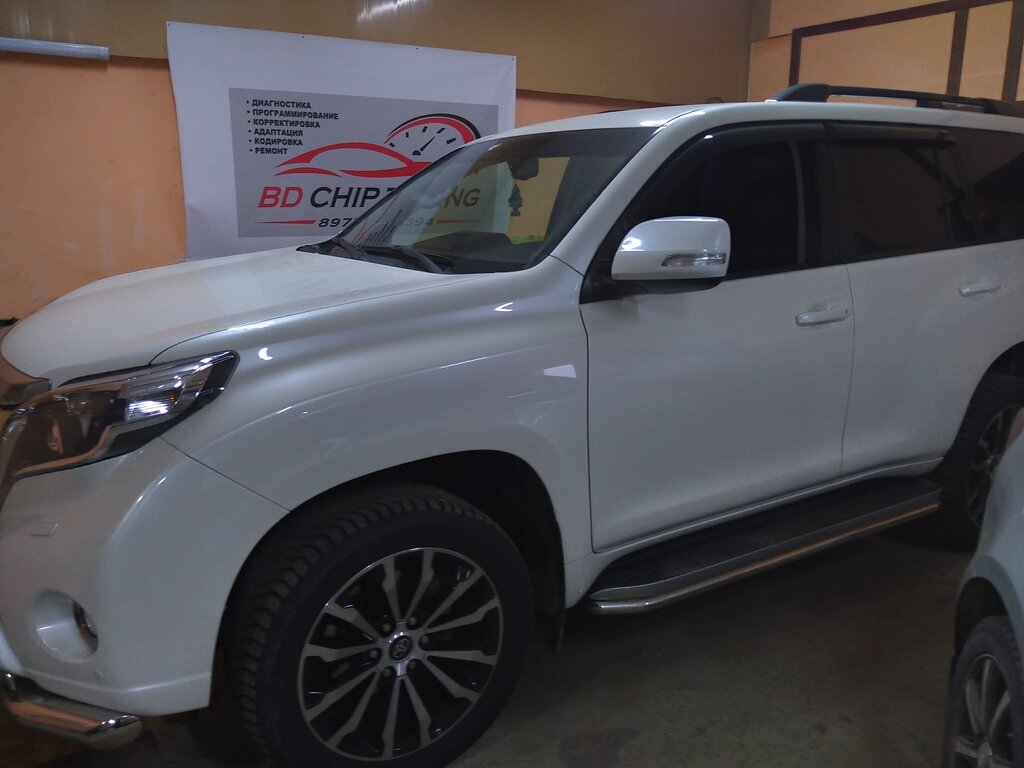 Otomatik teşhis Bd ChipTuning, Moskova ve Moskovskaya oblastı, foto
