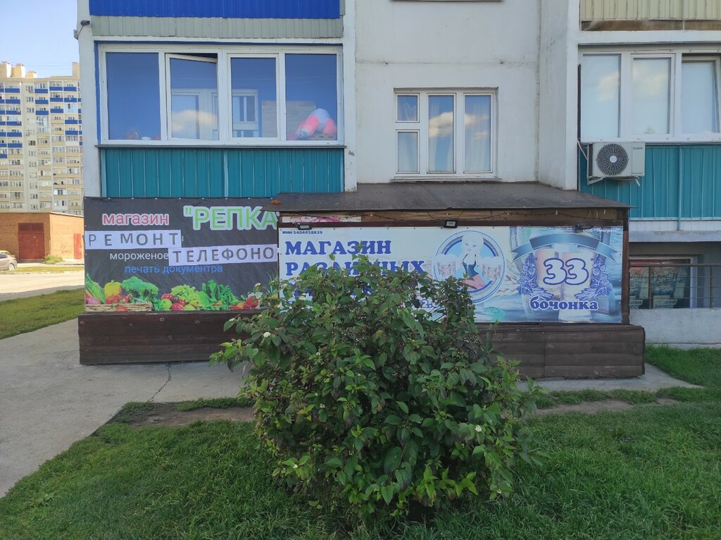 Bira dükkanı 33 Bochonka, Novosibirsk, foto