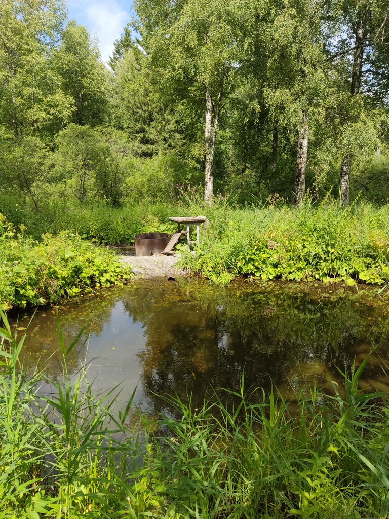 Pınar, çay Капитоновский ключ, Tomskaya oblastı, foto