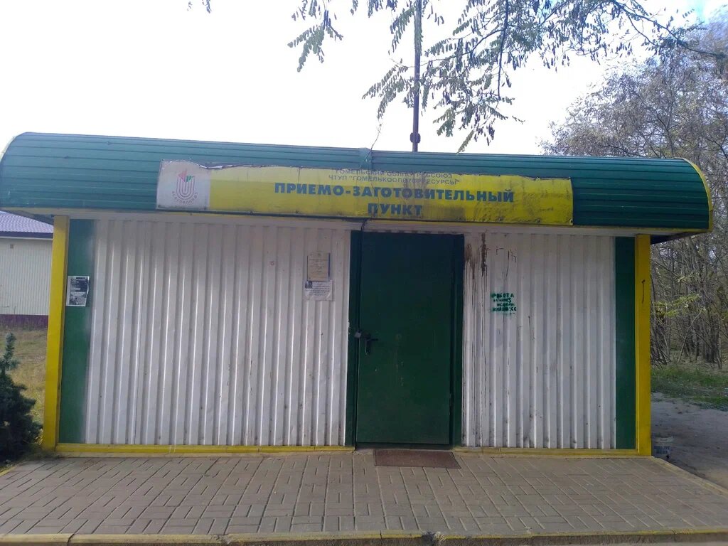 Geri dönüşüm maddeleri Приём вторсырья, Gomel, foto