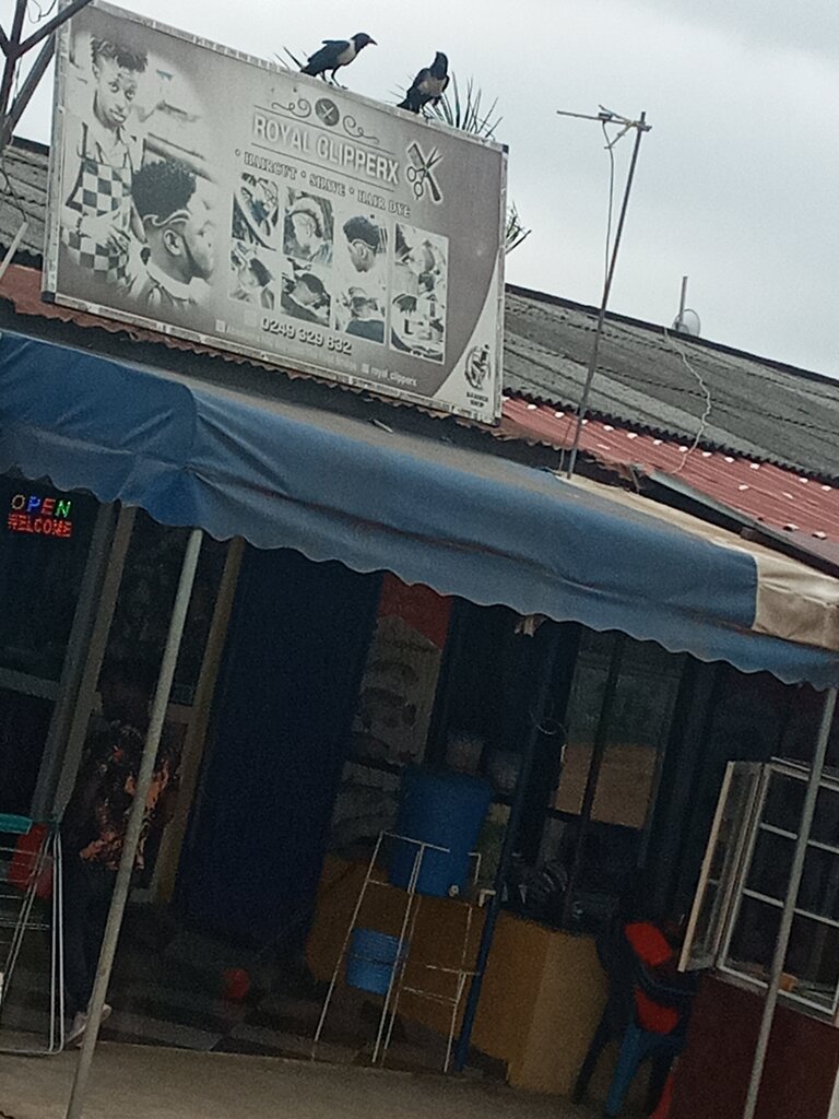 Berberler Royal clipperx barbering saloon, Dünya, foto