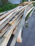 Краевое автономное учреждение Алтайлес (Shkolnaya Street No:28А, selo Lebyazhye), orman işleri  Altayski krayından