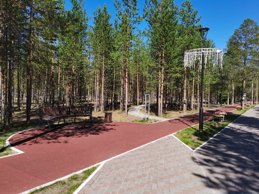 Bank Bench, Muravlenko, foto