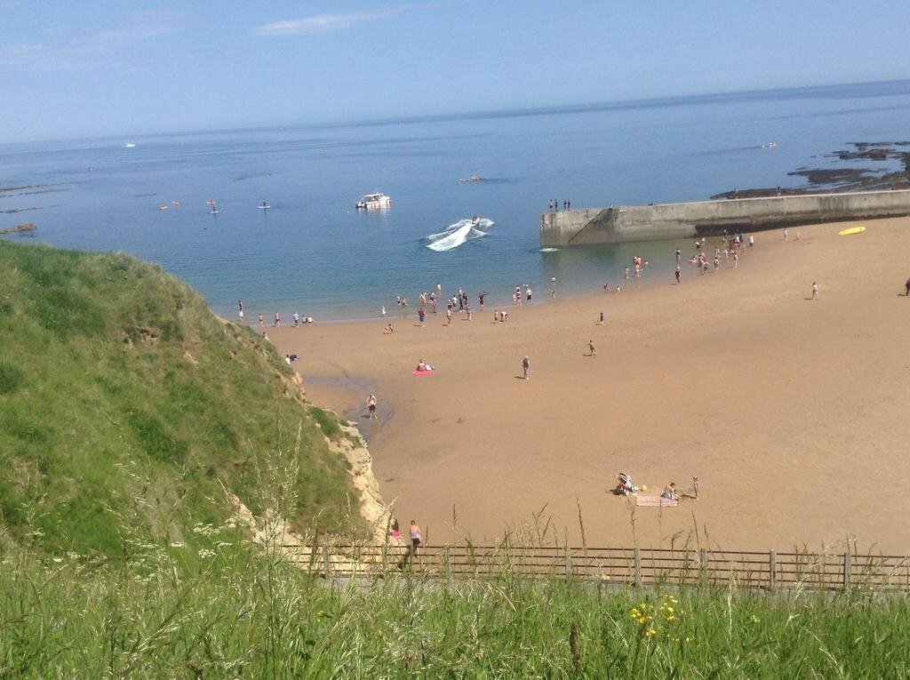 Otel The Pines Guest House, , foto