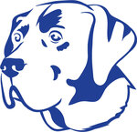 Suzanne Paddock Mace: Allstate Insurance (Maryland, Harford County, Bel Air), sigorta şirketleri  Bel Air'den