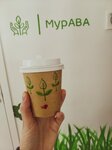 Центр коррекции аутизма и других нарушений развития Мурава (Barrikadnaya Street No:19А), çocuk gelişim merkezleri  Volgograd'dan