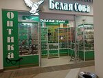Белая сова (Novaya ulitsa No:4), optik  Orenburg'dan