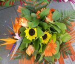 Les floriades (Hainaut, La Louvière, Houdeng-Goegnies, Chaussée Paul Houtart), çiçek teslimatı  Hainaut'tan