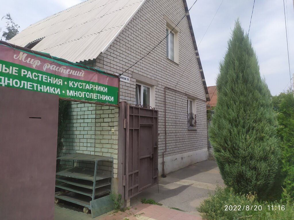 Sera ve bahçe ürünleri Mir Rasteny, Volgograd, foto