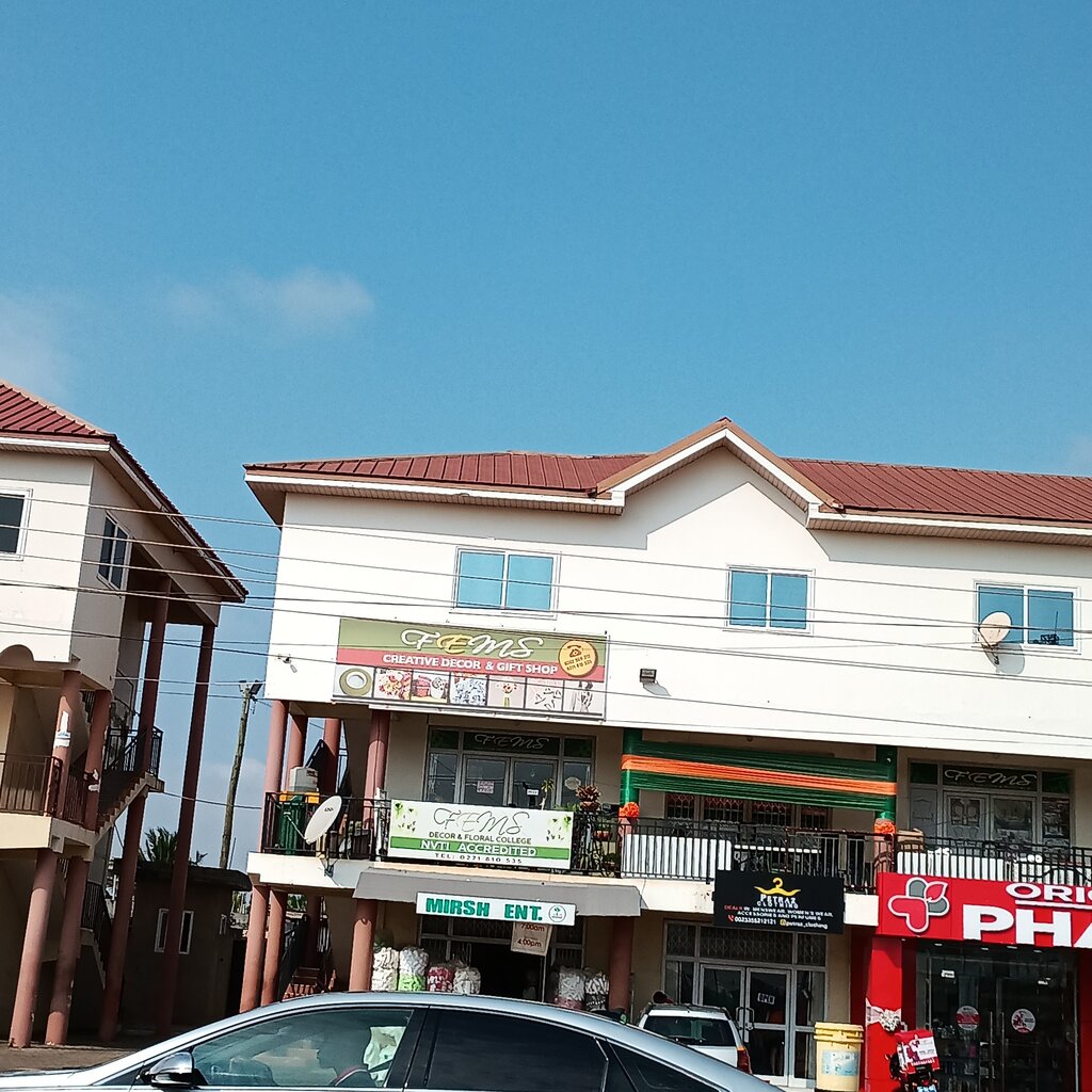 i̇ç dekorasyon ürünleri Fems Creative Decor, Dünya, foto