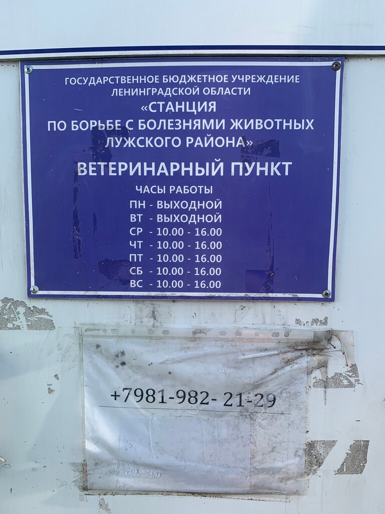 Veteriner klinikleri Ветеринарный пункт, Saint‑Petersburg ve Leningradskaya oblastı, foto